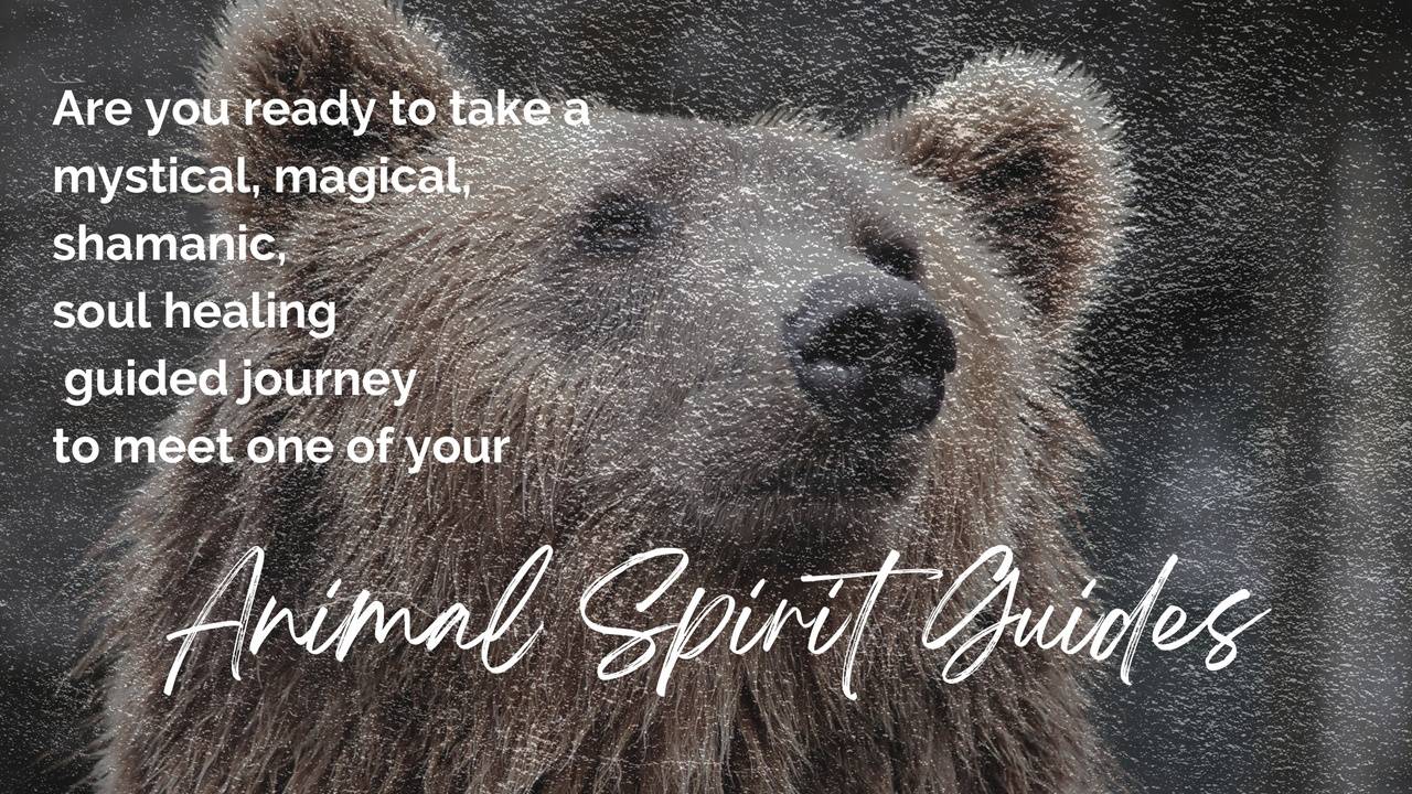 guided ceremony to meet your animal spirit guides