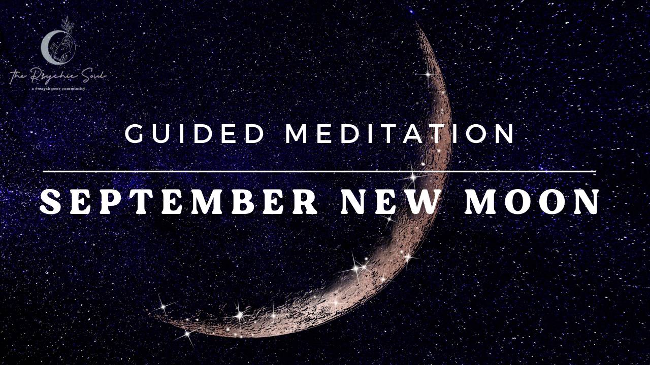 New Moon's symbolize new beginnings and transformation.