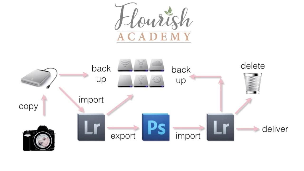 Learn How to Organize Your Photos