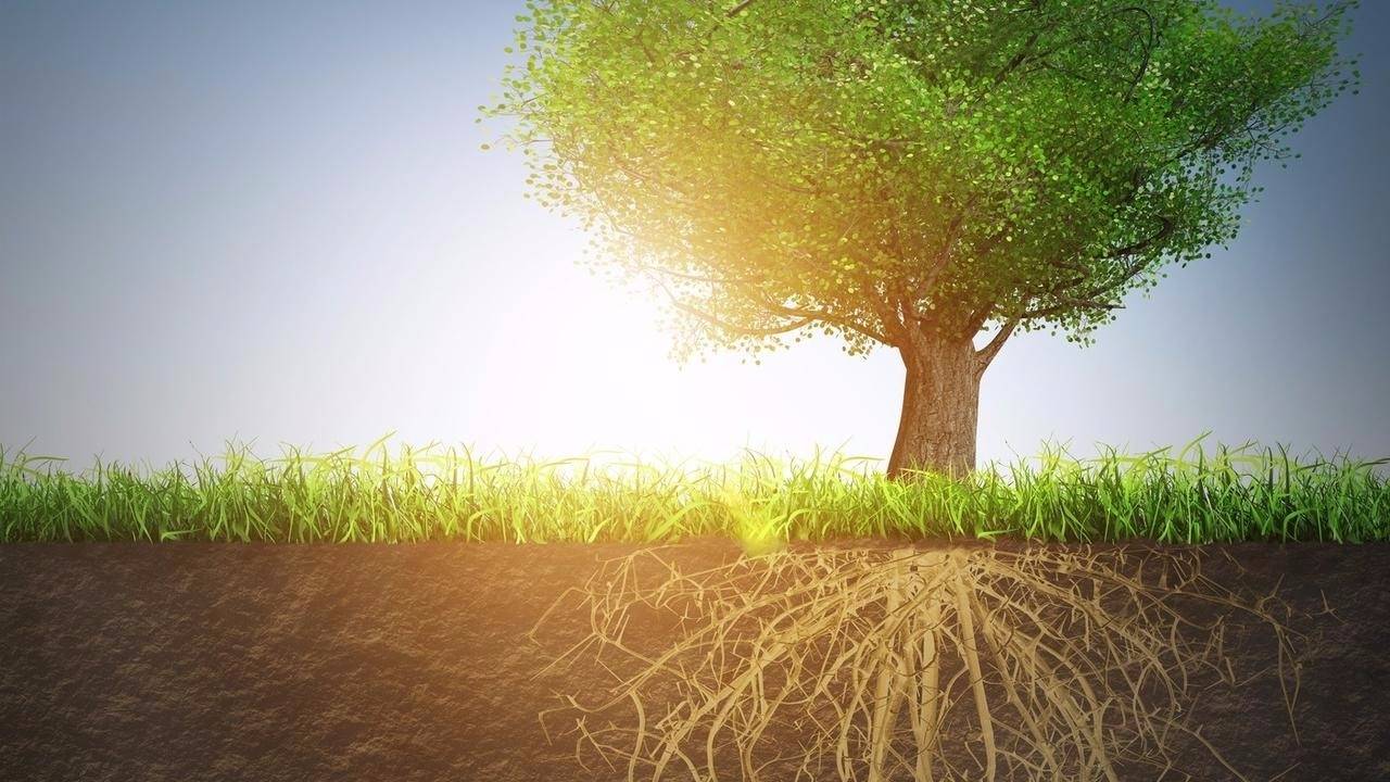 Step 6 - The Roots of Fear