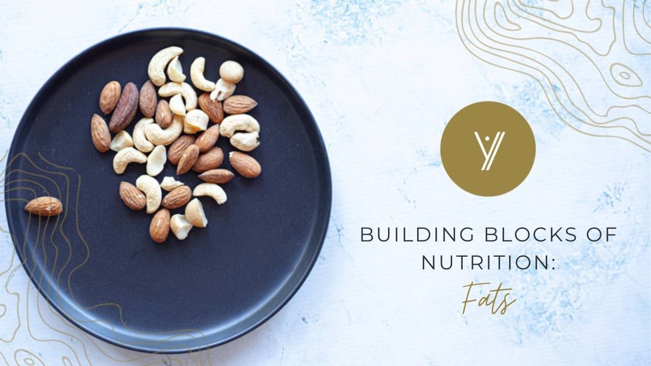 Building Blocks of Nutrition: Fats
