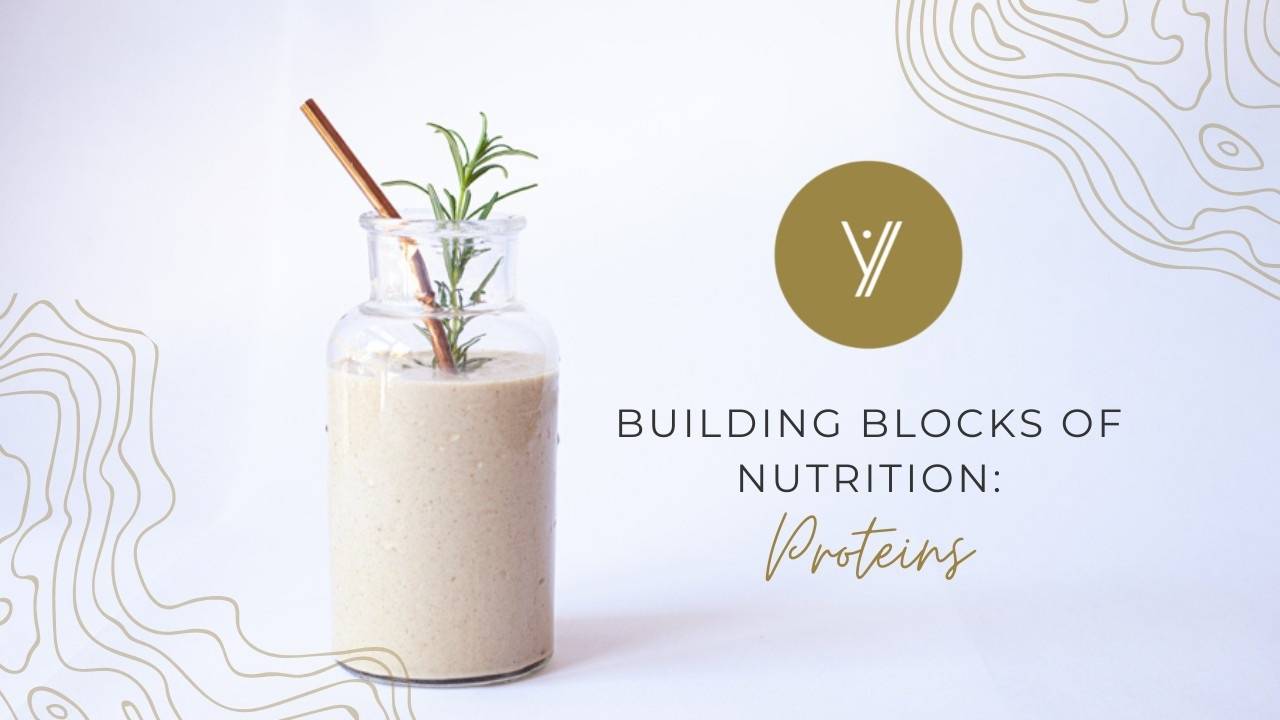 Building Blocks of Nutrition: Proteins