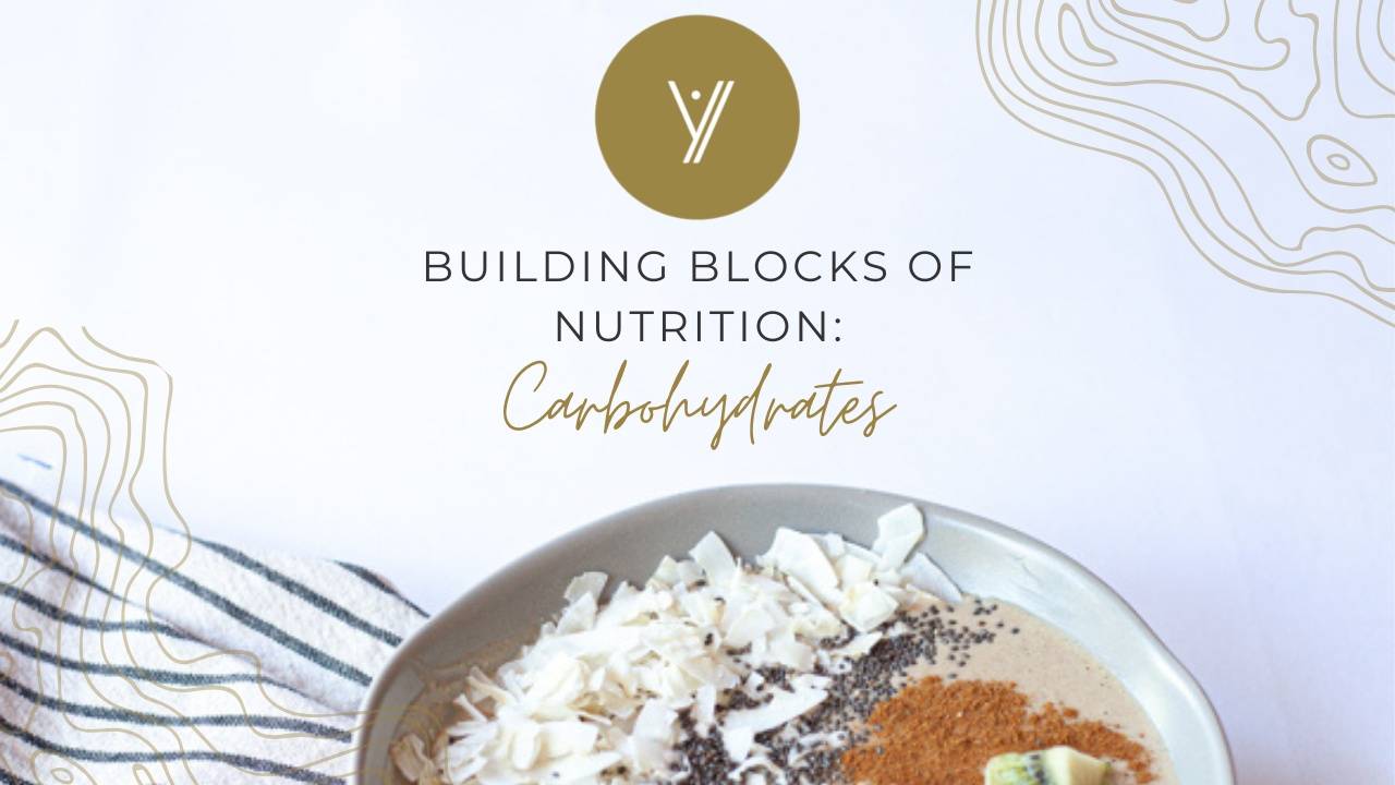Building Blocks of Nutrition: Carbohydrates