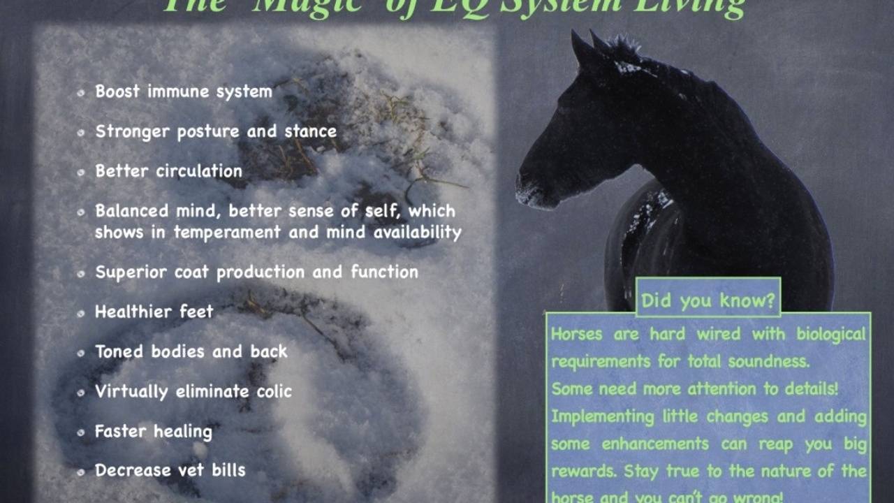 The EQ System: Living space management