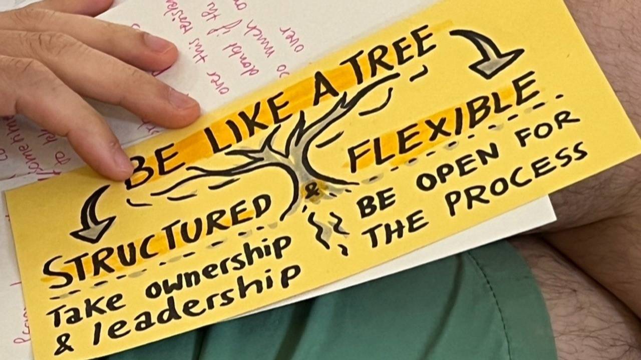 What we can learn from trees