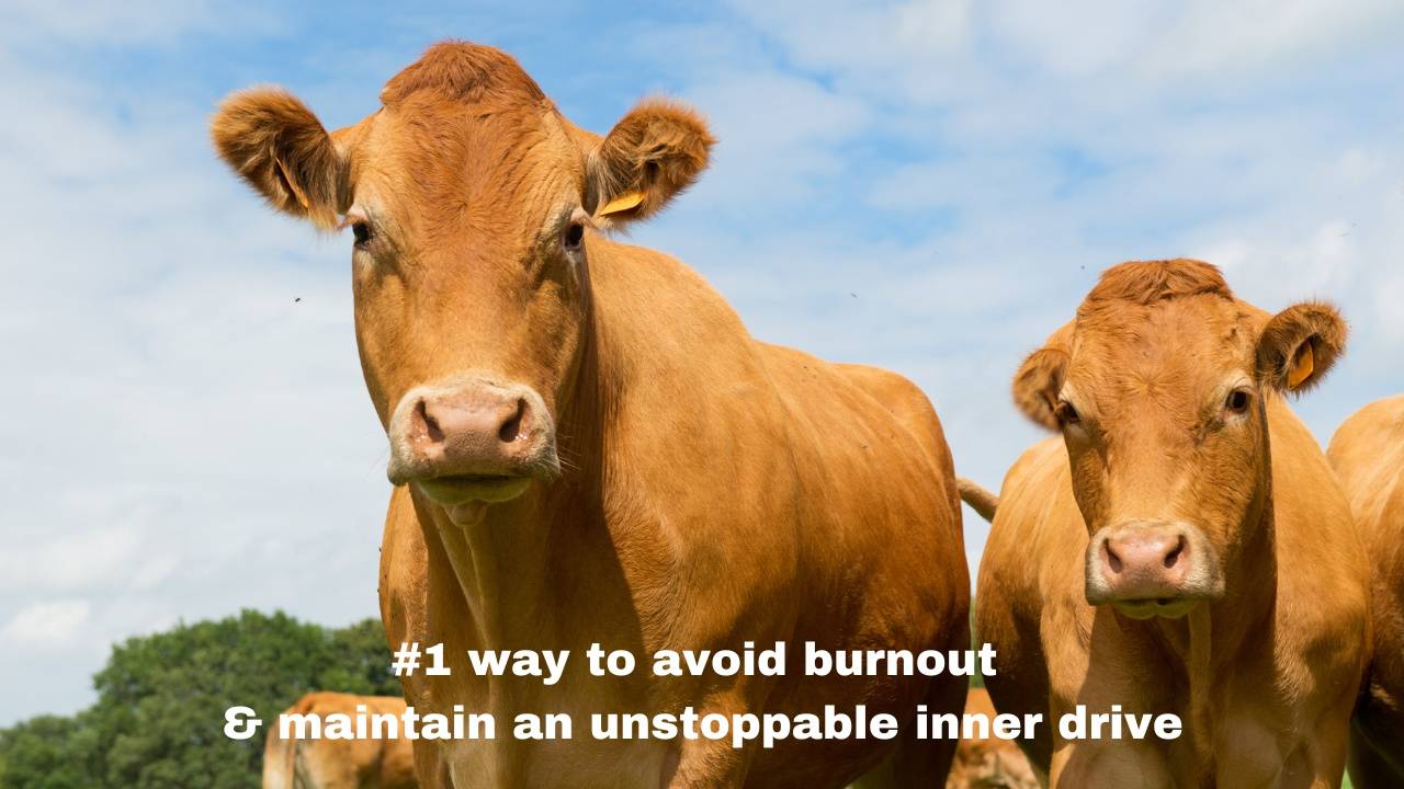 #1 way to avoid burnout & maintain an unstoppable inner drive