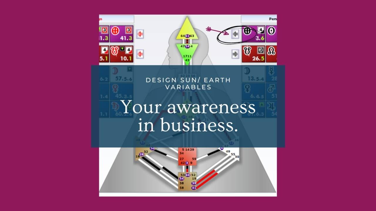 Human Design Variables in Business