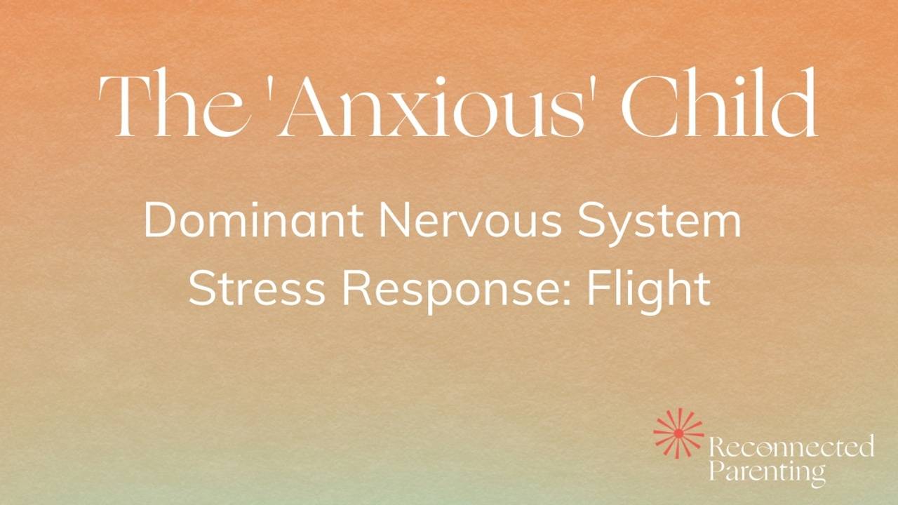 The Anxious Child | The Reconnected