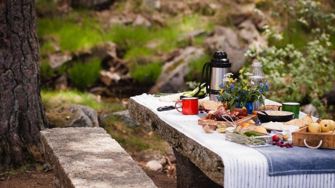 Eat fresh, local, and nutritious food at farm-to-table restaurants.