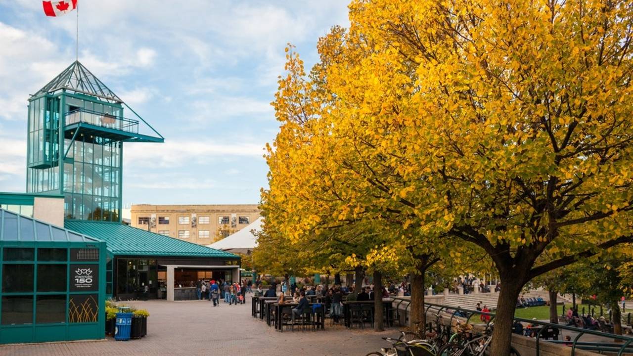 Brownfield redevelopment saves our agricultural land and wildlife.