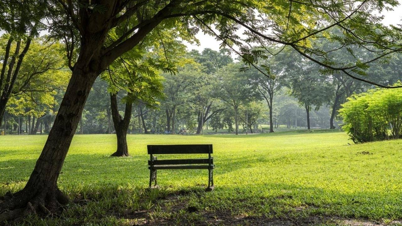 Reduce environmental impacts with green funeral and burial.