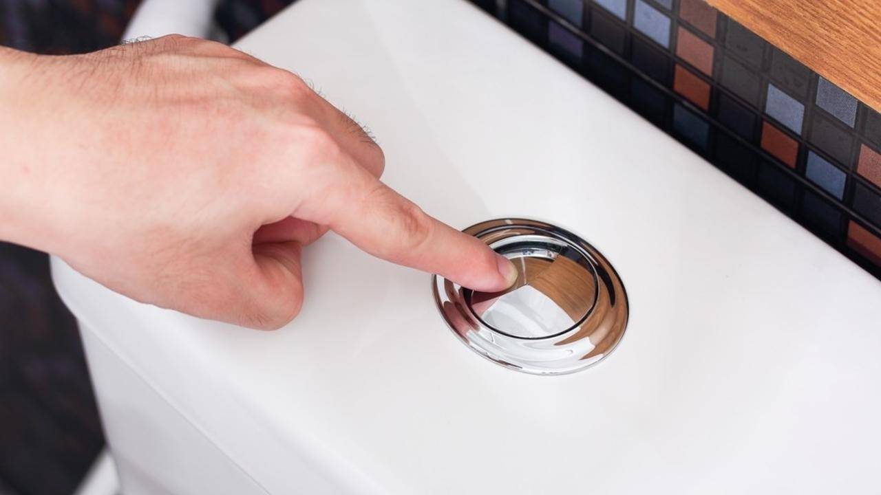 Reduce your footprint and your hydro bills with a dual flush toilet.