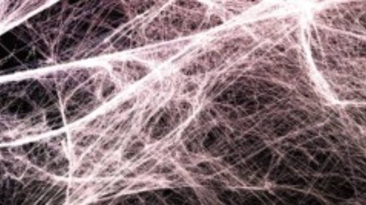 How does your body communicate with the world around you?