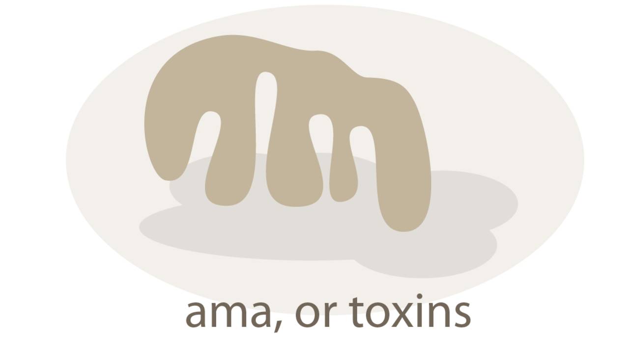 Ayurveda Basics: Ama or, Toxins