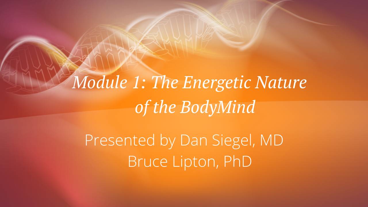 The Science of Energy Healing: The Energetic Nature of the BodyMind