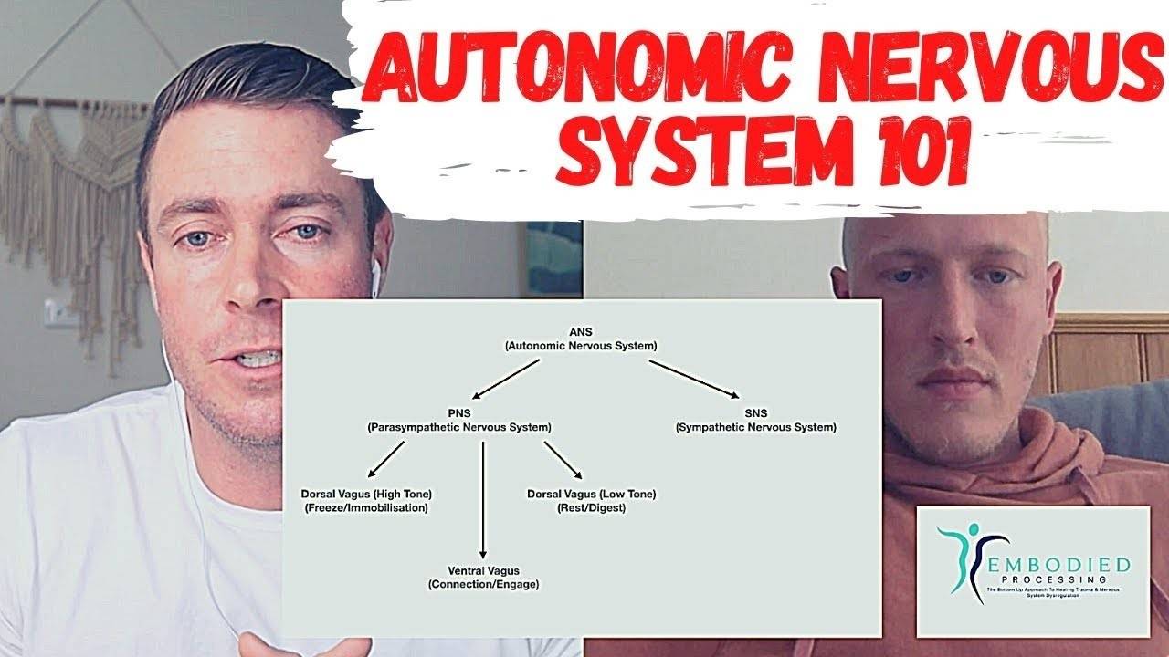 Autonomic Nervous System 101