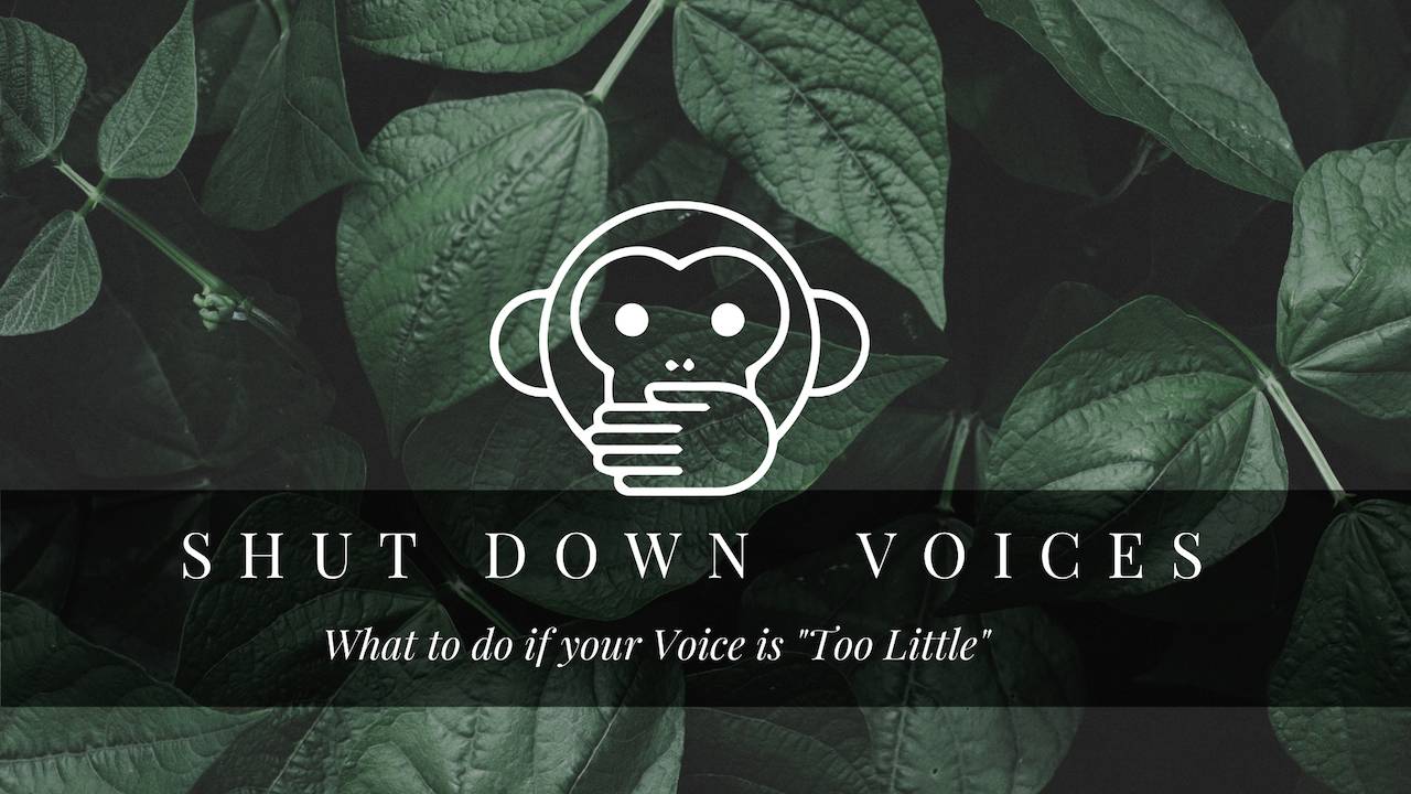 Shut Down Voices (What to do if your Voice is "Too Little")