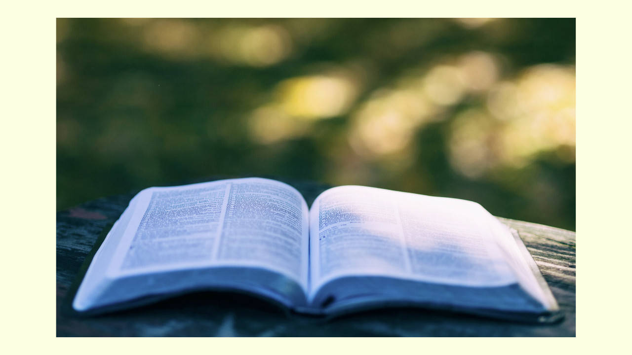 6 Steps to Getting Published