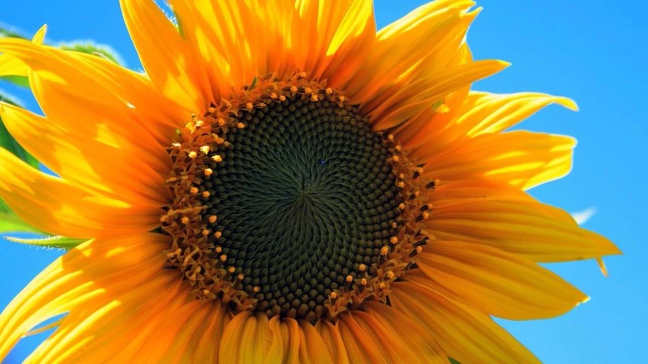 6 Ways to Shake Off Negativity and Low Mood