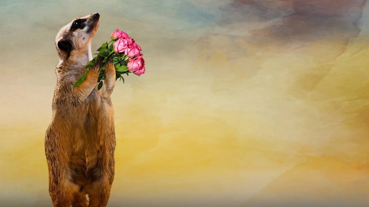 3 Ways To Give Back (Without Giving It All Away)