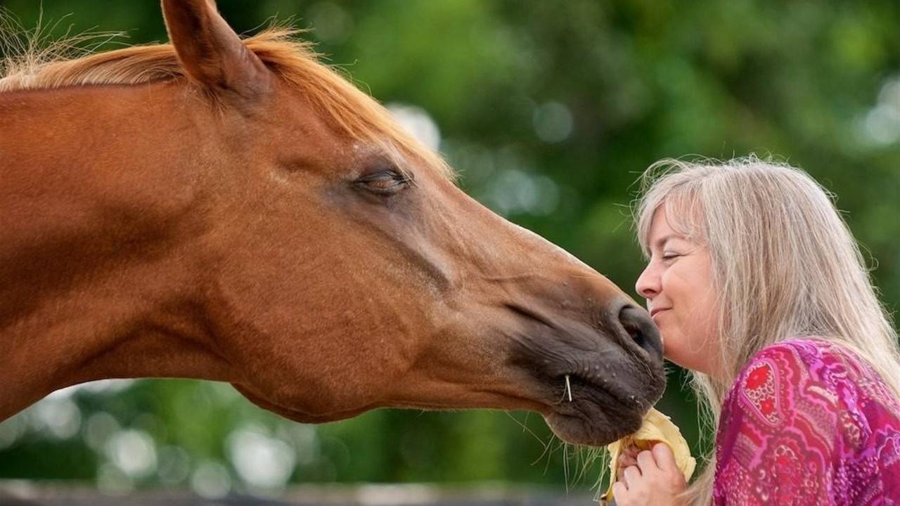 5 Free Tips for Animal Communication