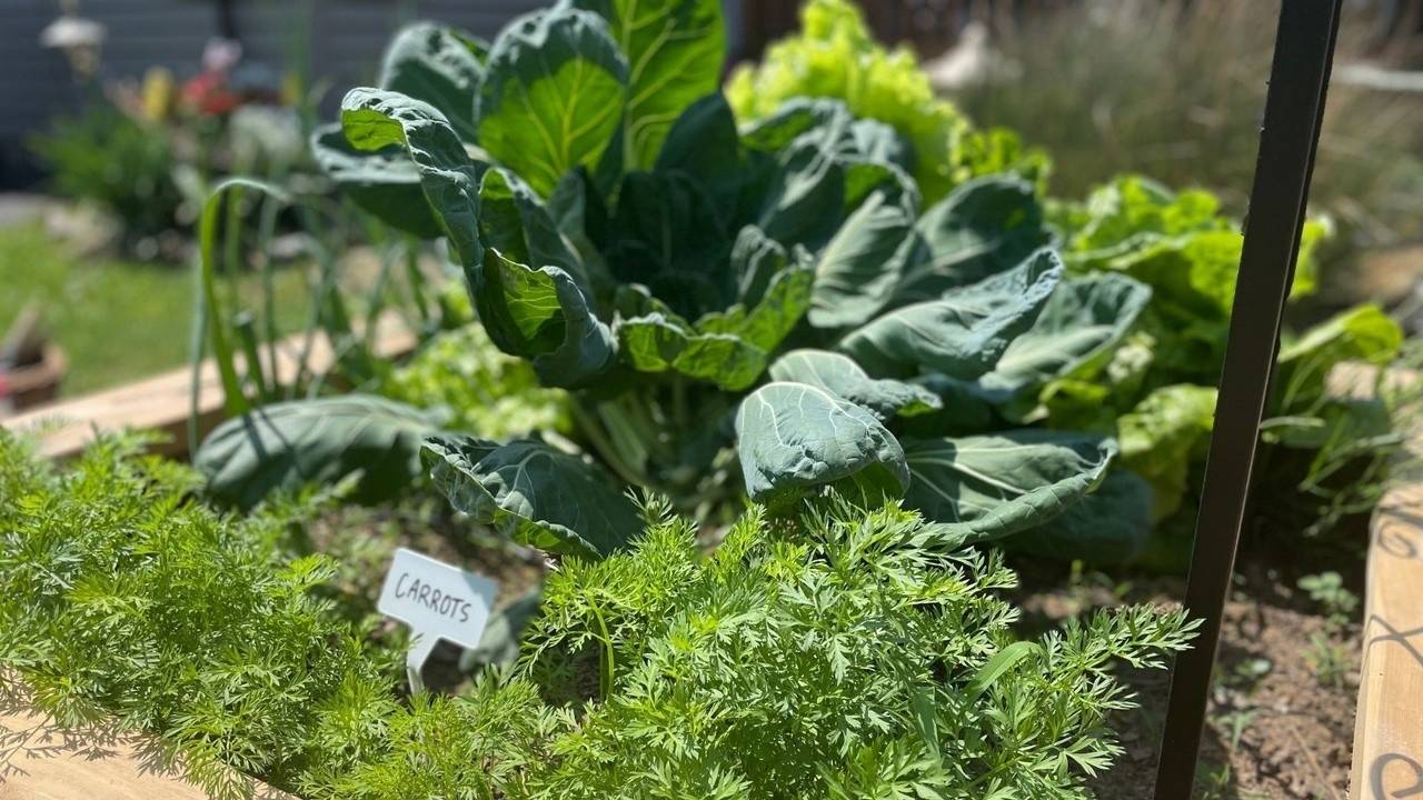 3 Reasons Why Fresh is Best!