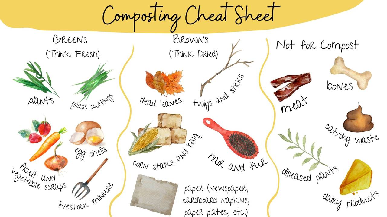 Composting: Complete Guide in 3 Steps