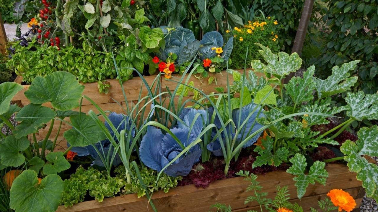 10 Signature Secrets to Beautifying an Edible Garden