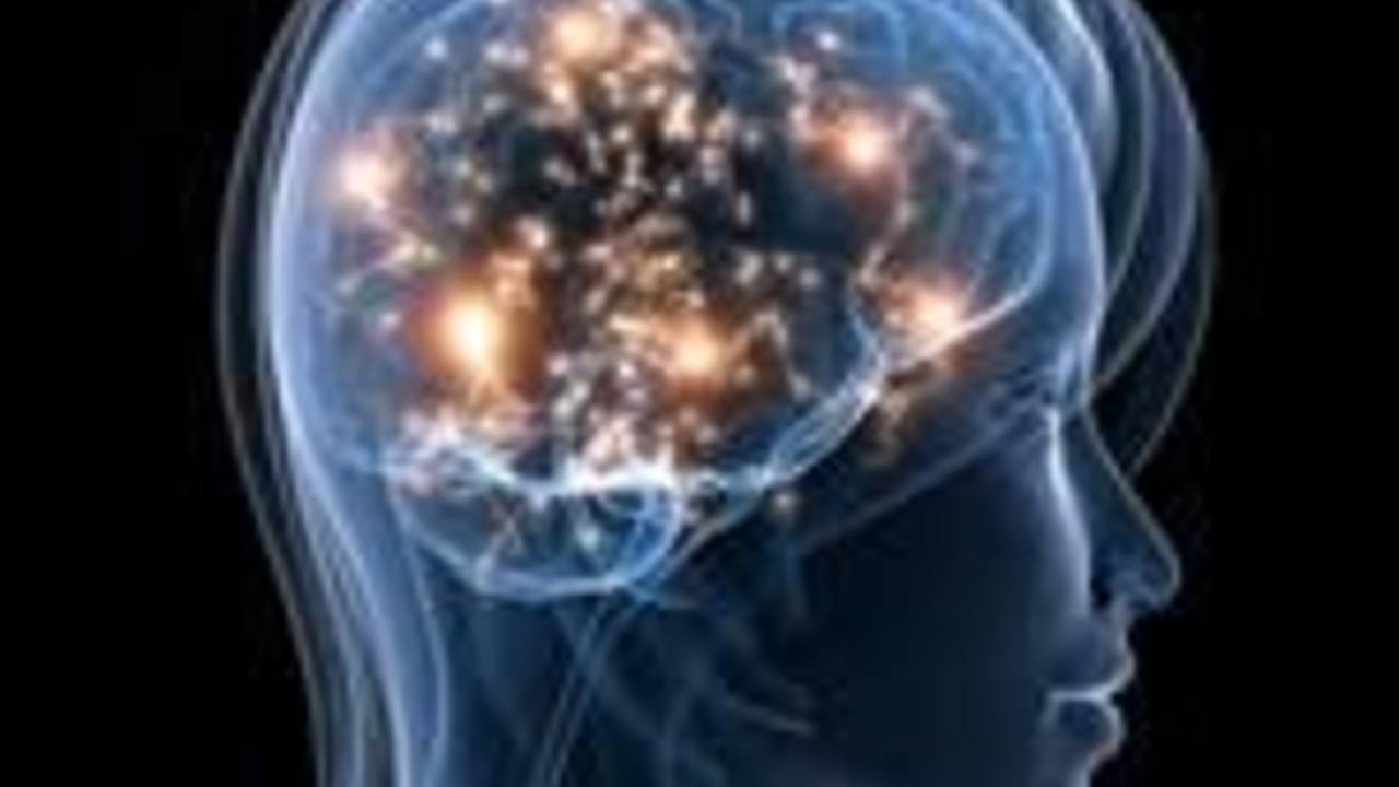 Understanding the Gifted/Twice-Exceptional Brain