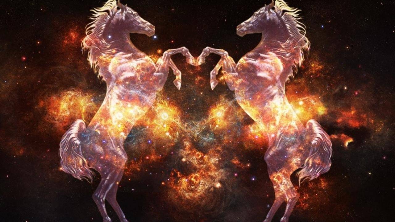 How To Find Your Animal Spirit Guides