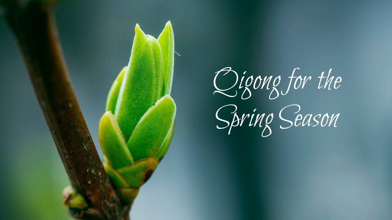 Qigong Training Principles for Springtime