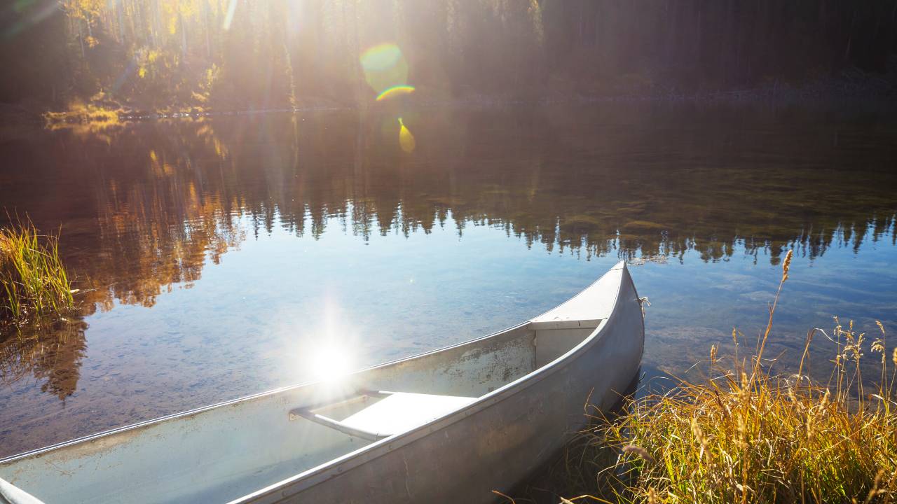 That Time We Flipped The Canoe