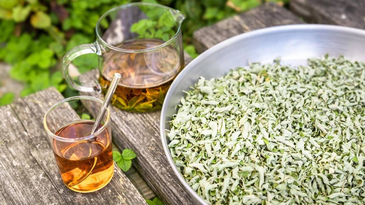 6 Tips on How to Grow an Herbal Tea Garden