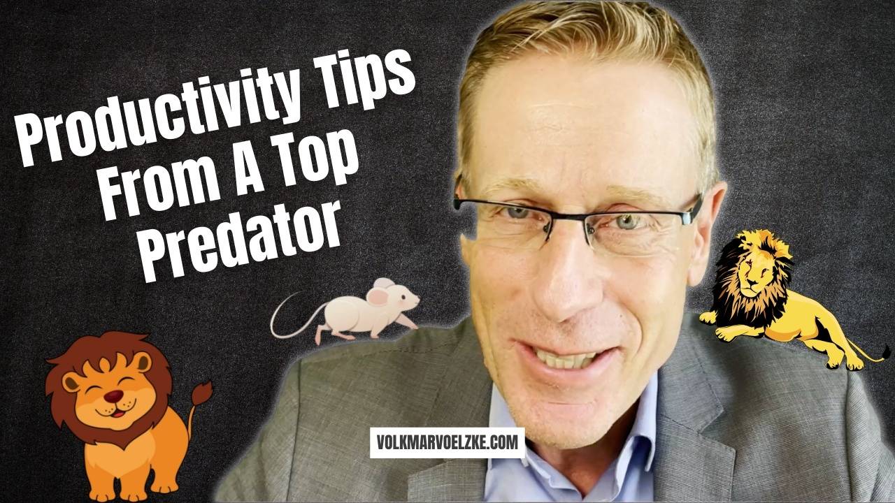 🦁 Productivity Tips From A Top Predator