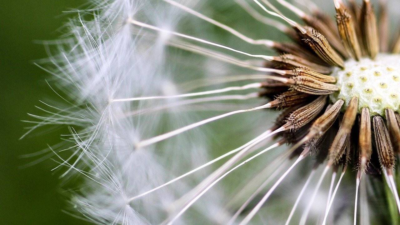 Letting Go: Relax into Your True Nature
