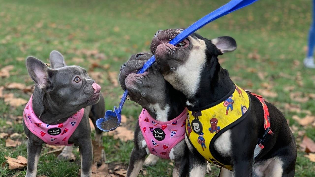 Four simple ways to find your unique differentiator