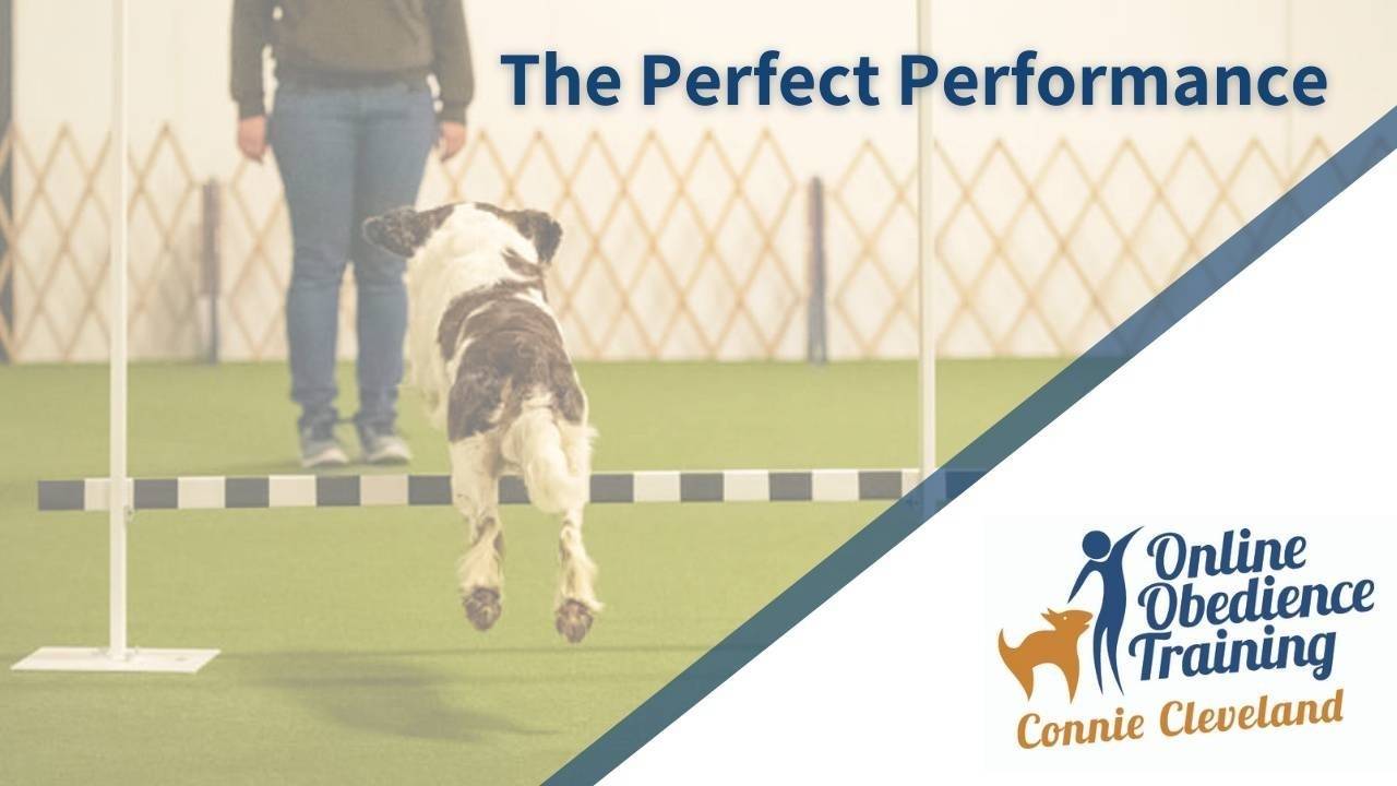 The Perfect Performance- Animated and Accurate!