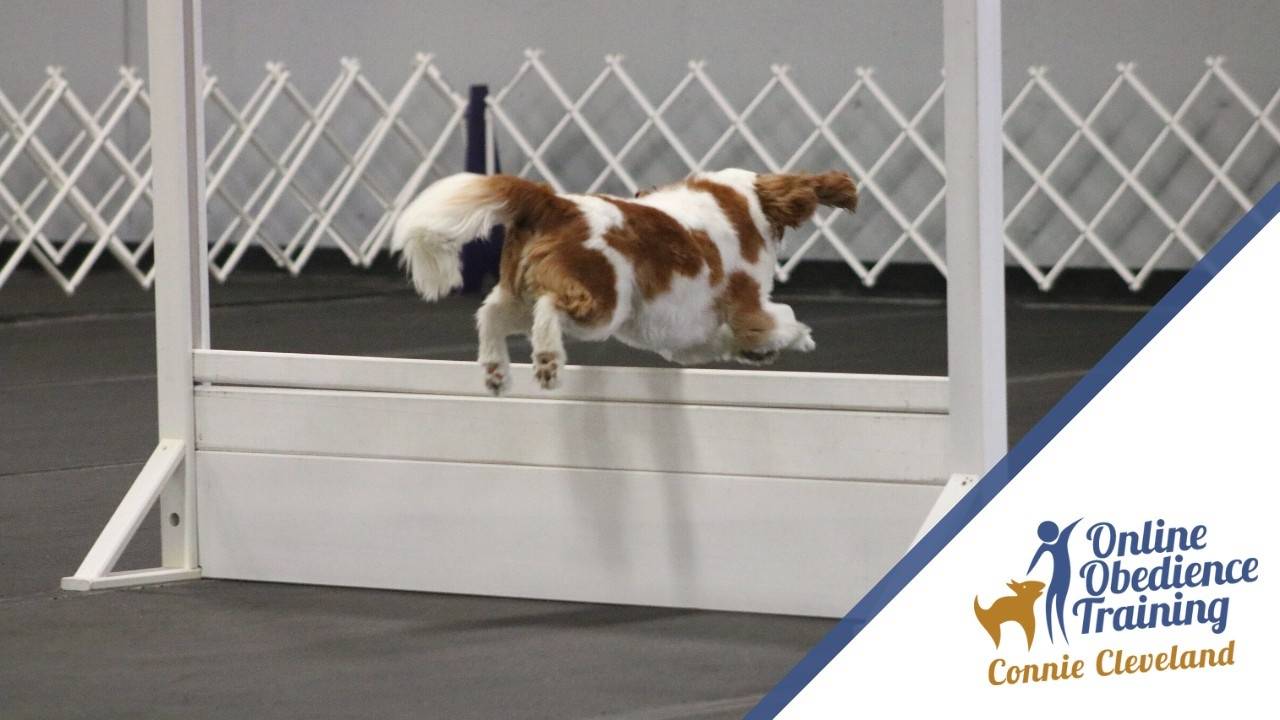 Taking a Jump on the Go-Out Command