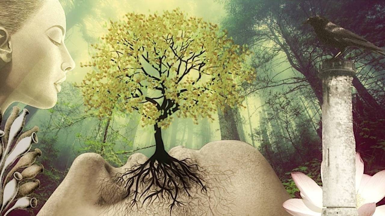 Two Stages of Spontaneous Creativity