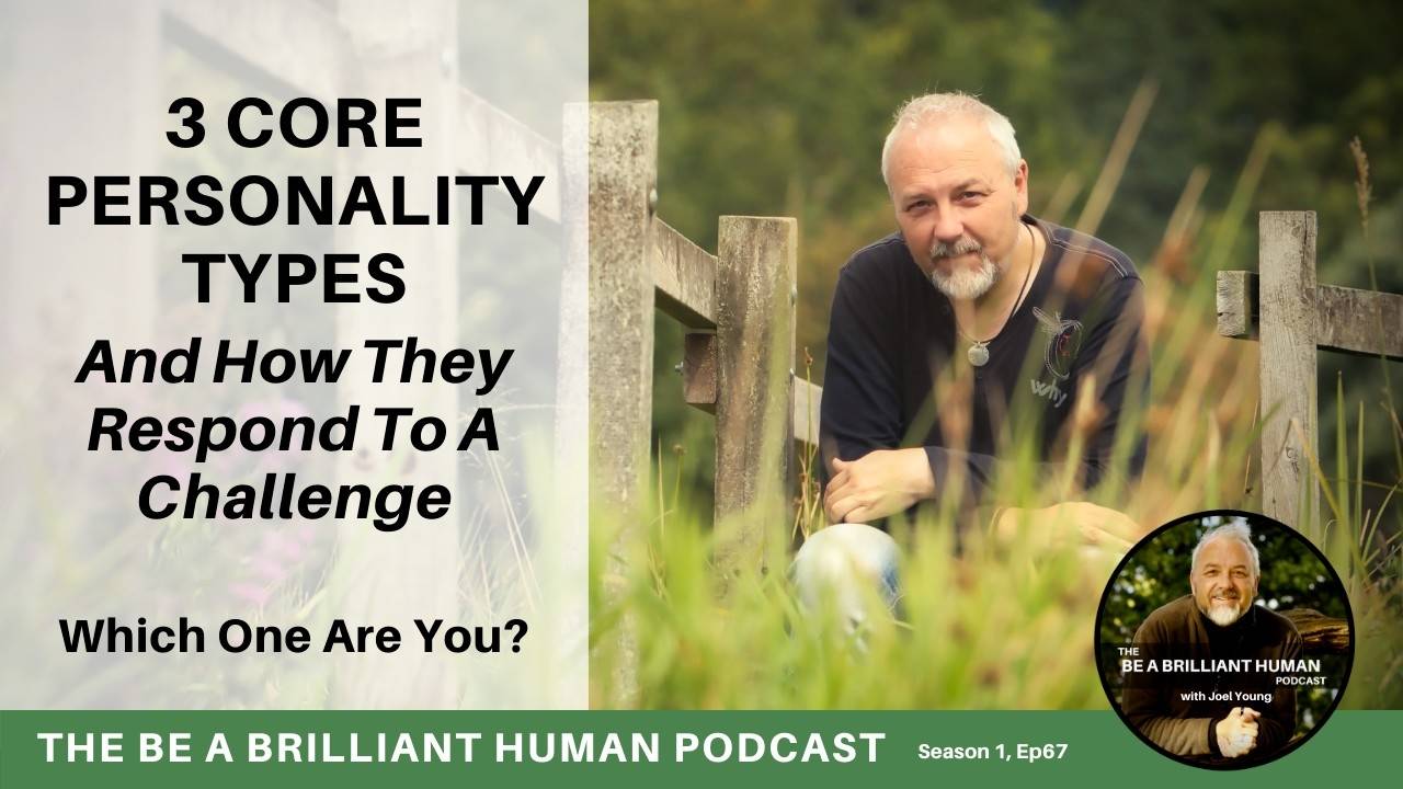 3 Core Personality Types And How They Respond To A Challenge