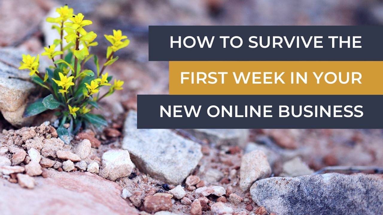 How To Survive Your First Week In Online Business | Growth
