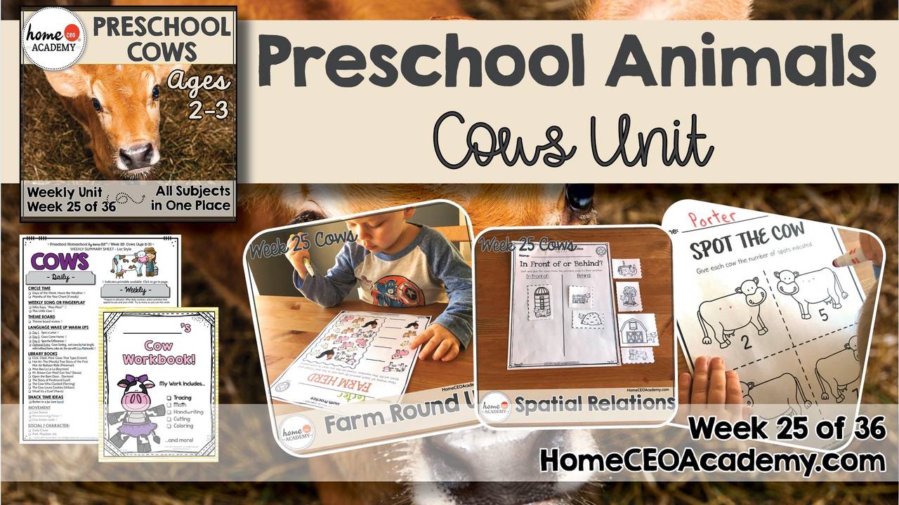Preschool Animals: Cows Theme by Home CEO Academy