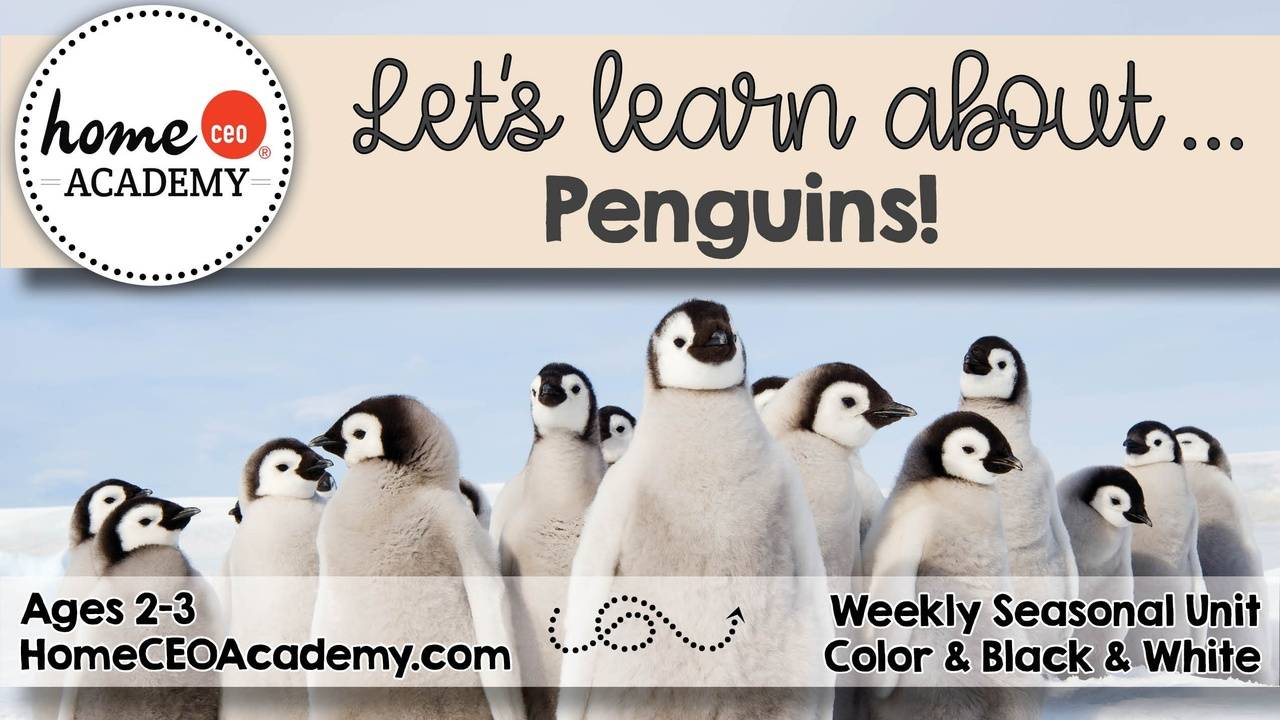 Penguins Preschool Printables