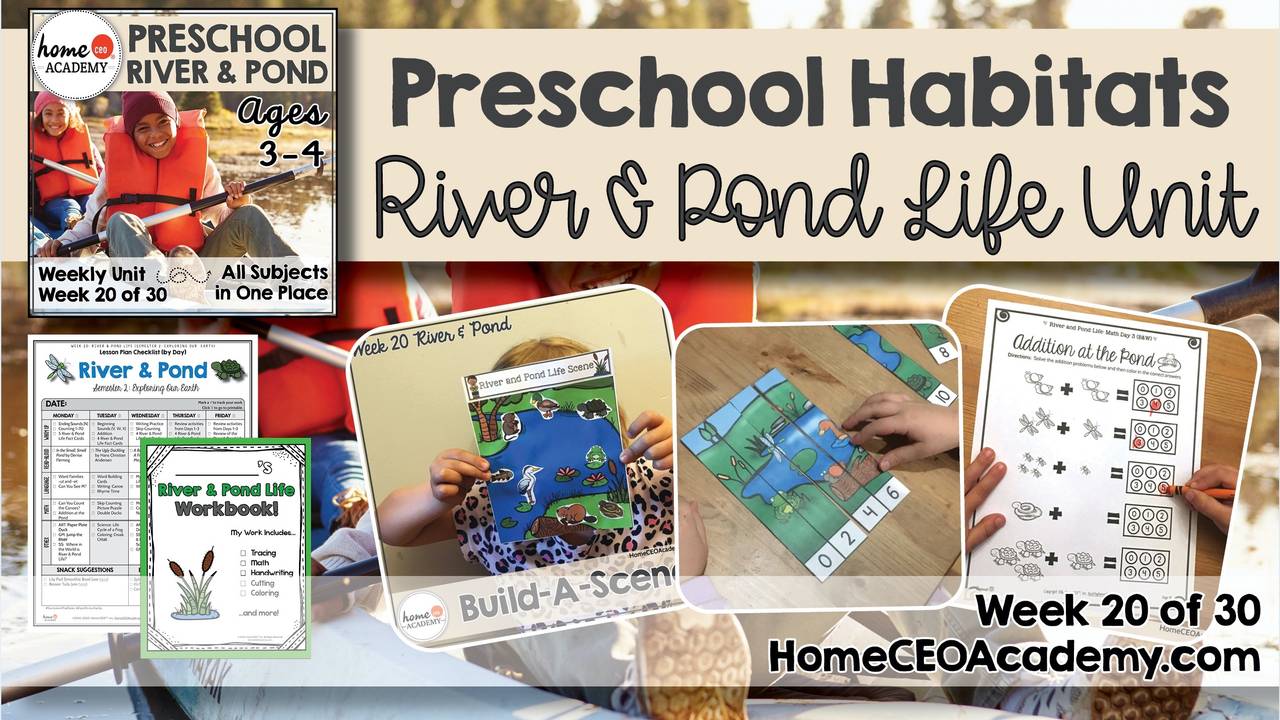 Preschool Habitats: River & Pond Theme by Home CEO Academy