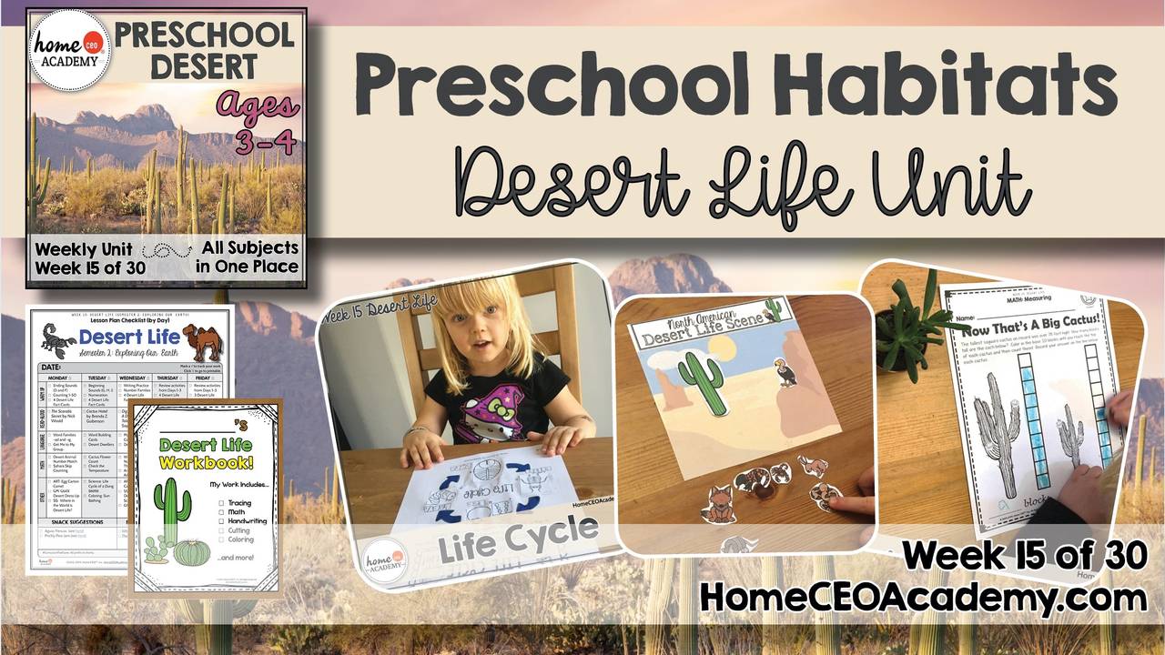 Preschool Habitats: Desert Theme by Home CEO Academy