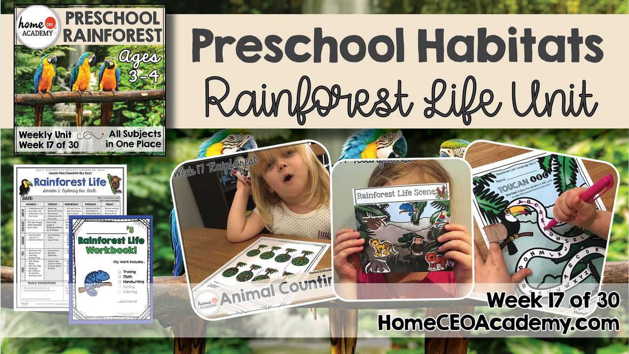 Preschool Habitats: Rainforest Theme by Home CEO Academy