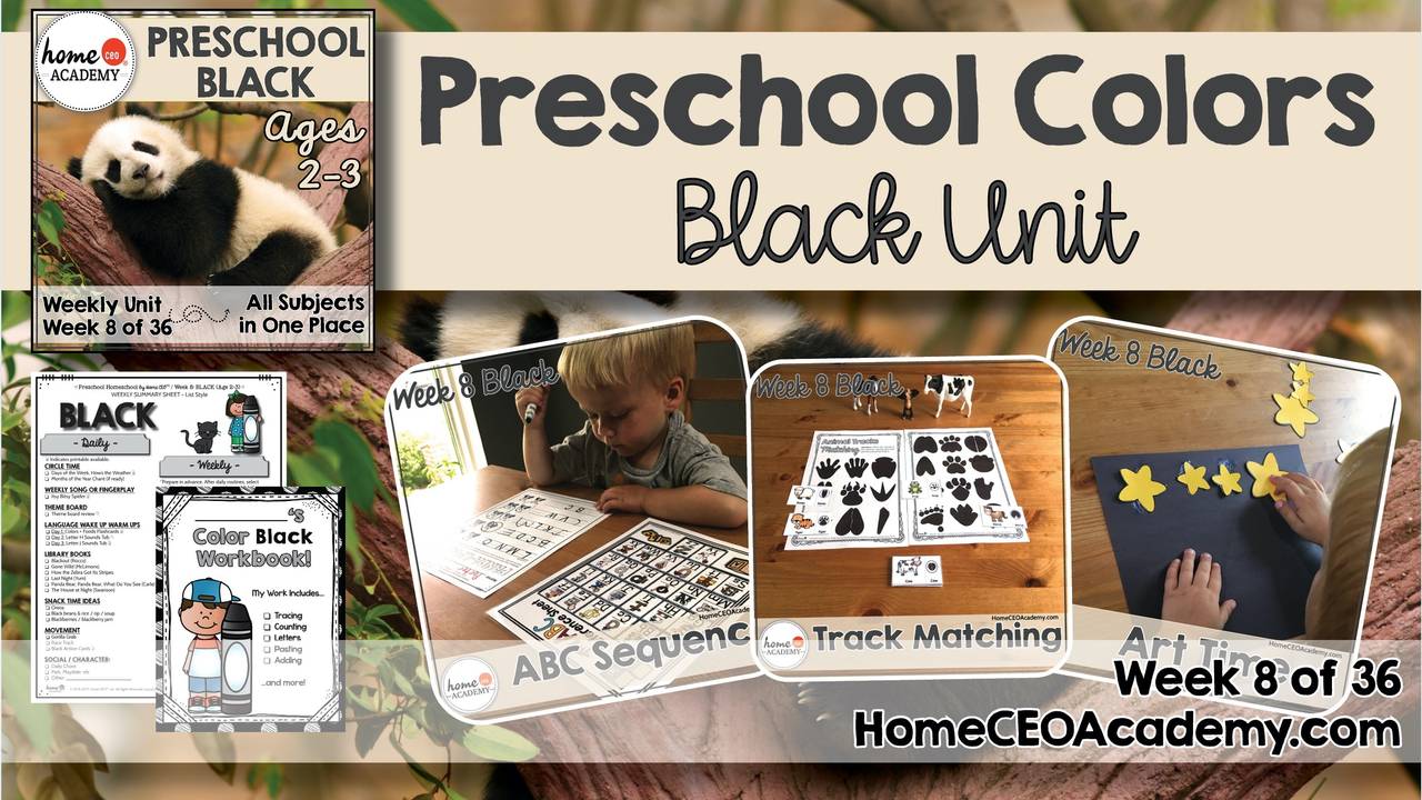 Preschool Colors: Black Theme by Home CEO Academy