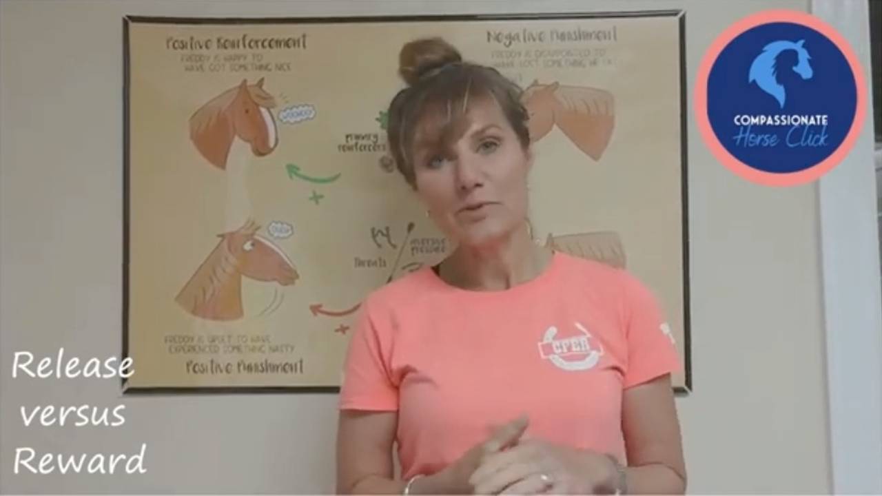 Release versus Reward - What's the difference?