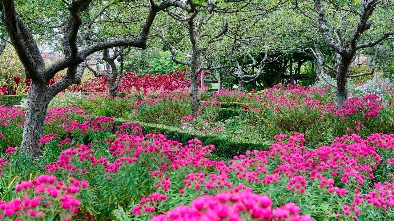 How to Create A Flower Border with Year-round Interest