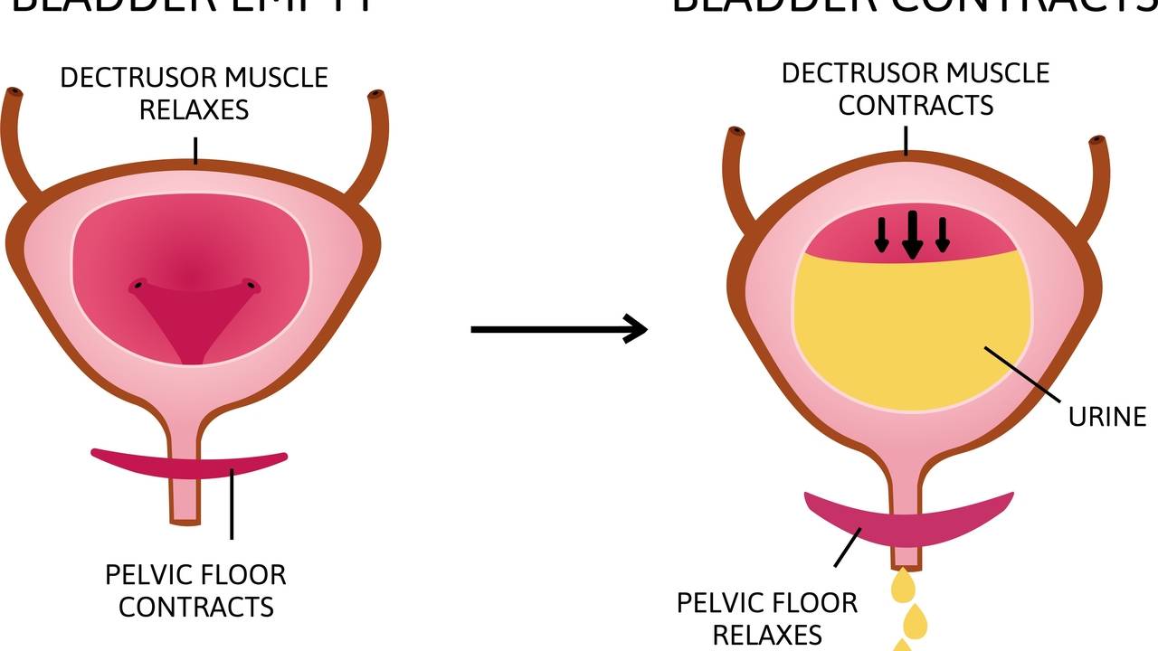 Effective Kegel Exercise For Incontinence